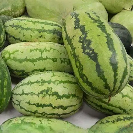 Watermelon Jubilee ounce – Franklin County Xchange
