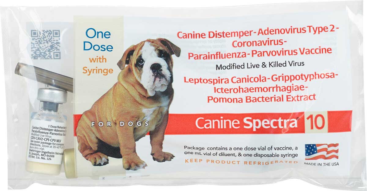 Canine Spectra 10 Dog Vaccine – Franklin County Xchange